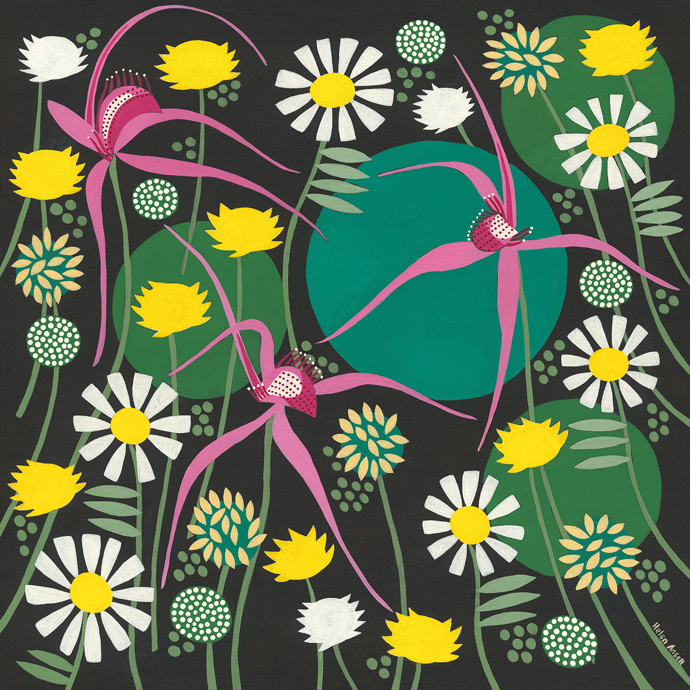 Pink Spider Orchid - Original Painting by Helen Ansell Helen Ansell Art